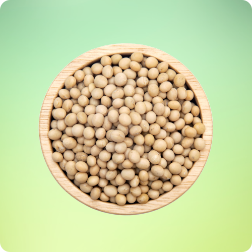 Hatchery - Farms - Suguna_WP